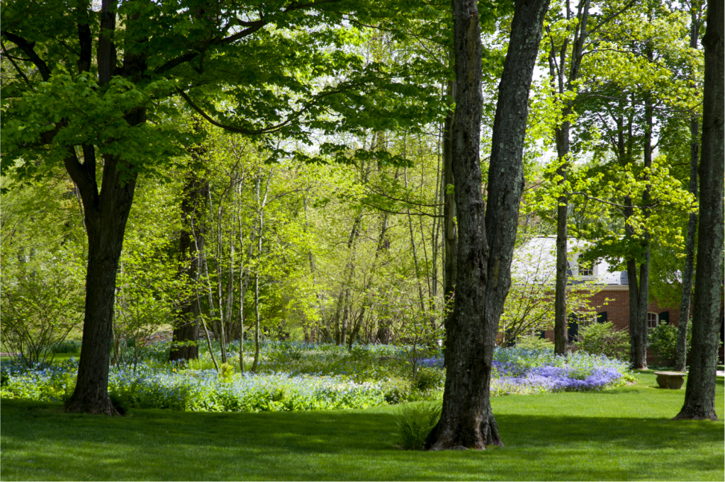 Twin Maples – North American Country Estates